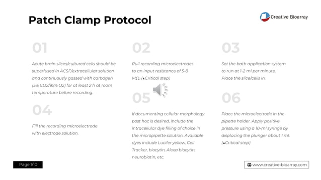 Patch Clamp Assay - A detailed step-by-step description of the standard ...