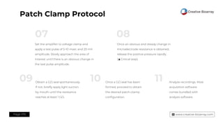 Patch Clamp Assay - A detailed step-by-step description of the standard ...