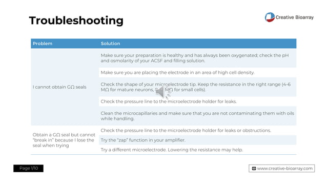 Patch Clamp Assay - A detailed step-by-step description of the standard patch clamp protocol ...