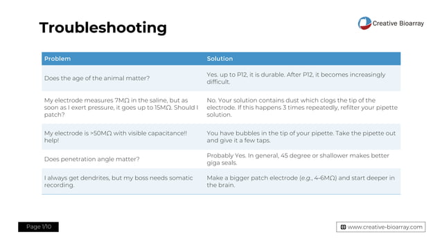 Patch Clamp Assay - A detailed step-by-step description of the standard patch clamp protocol ...