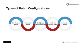 Patch Clamp Assay - A detailed step-by-step description of the standard ...