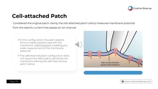 Patch Clamp Assay - A detailed step-by-step description of the standard ...