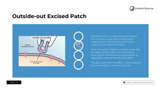 Patch Clamp Assay - A detailed step-by-step description of the standard ...
