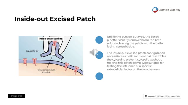 Patch Clamp Assay - A detailed step-by-step description of the standard patch clamp protocol ...