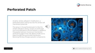 Patch Clamp Assay - A detailed step-by-step description of the standard ...