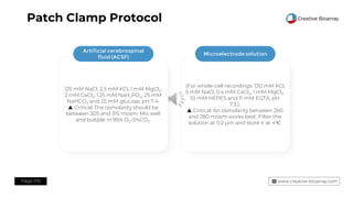 Patch Clamp Assay - A detailed step-by-step description of the standard patch clamp protocol | PPTX