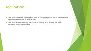 Patch clamping | PPT