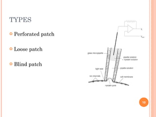 Patch clamp ppt by kp | PPT