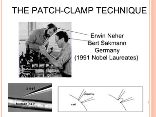 Patch clamp ppt by kp | PPT