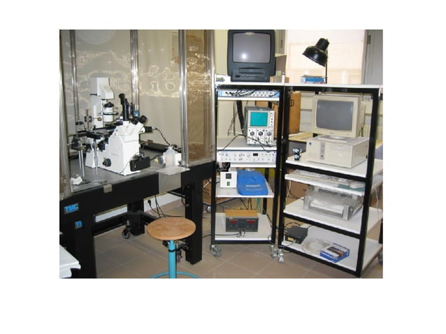 Patch clamp recording | PPT