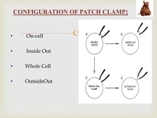 Patch clamp technique | PPTX