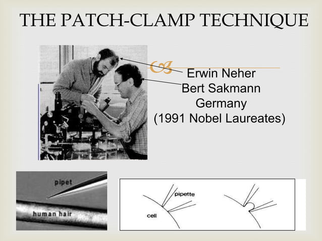 Patch clamp technique | PPTX