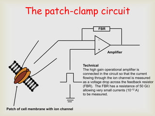 Patch clamp technique | PPTX