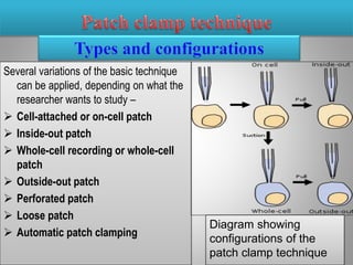 Patch clamp technique principle | PPTX
