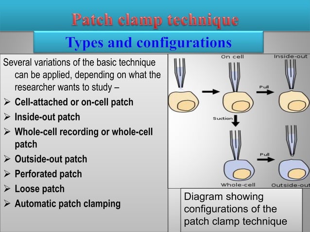 Patch clamp technique principle | PPTX