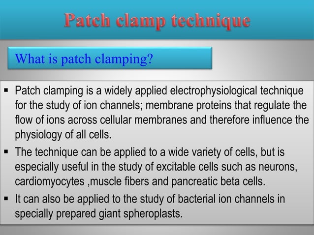 Patch clamp technique principle | PPTX