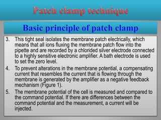 Patch clamp technique principle | PPTX