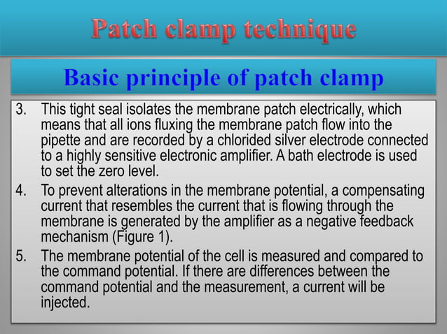 Patch clamp technique principle | PPTX