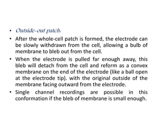 Patch clamp technique | PPTX