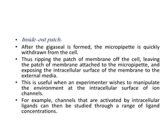 Patch clamp technique | PPTX