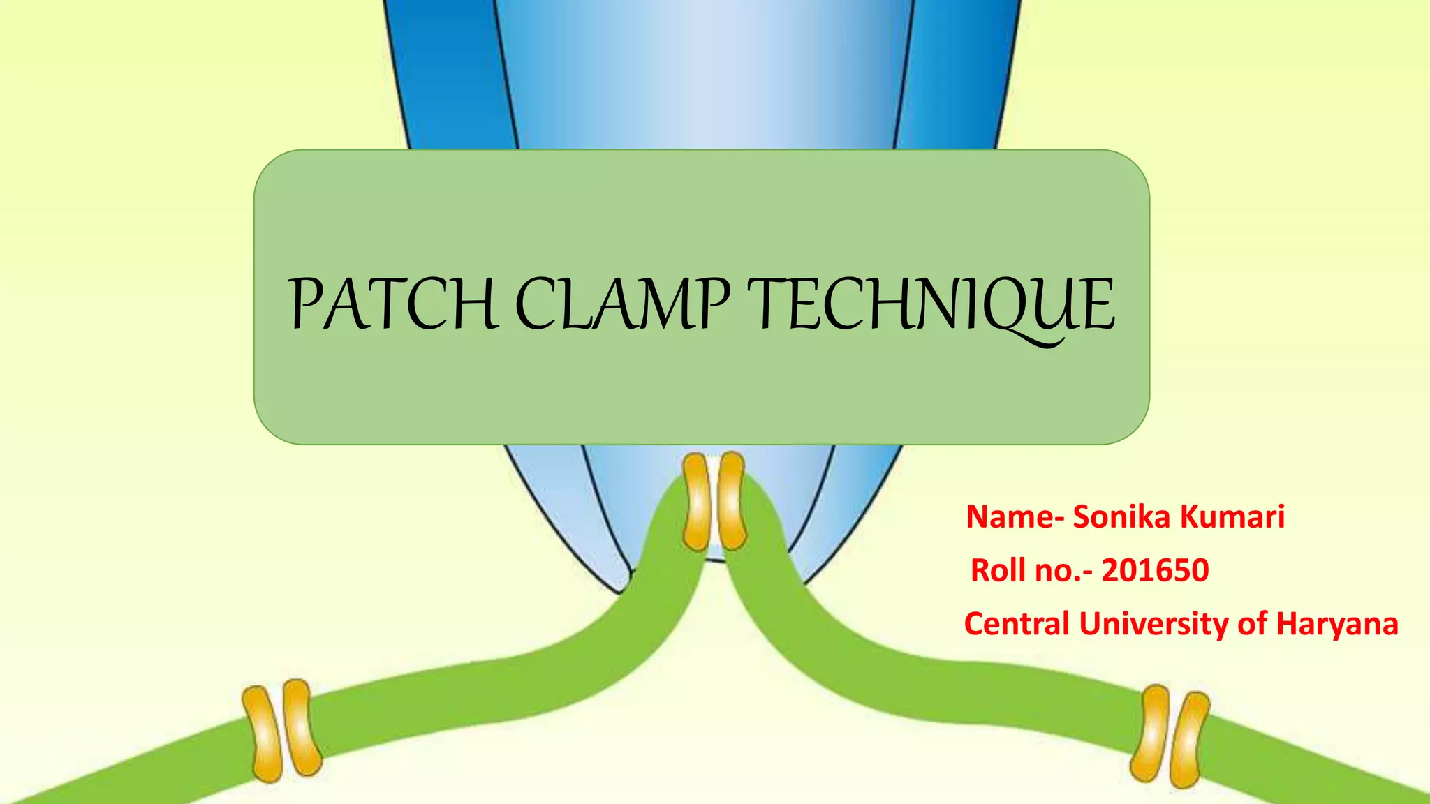 Patch clamp technique | PPTX