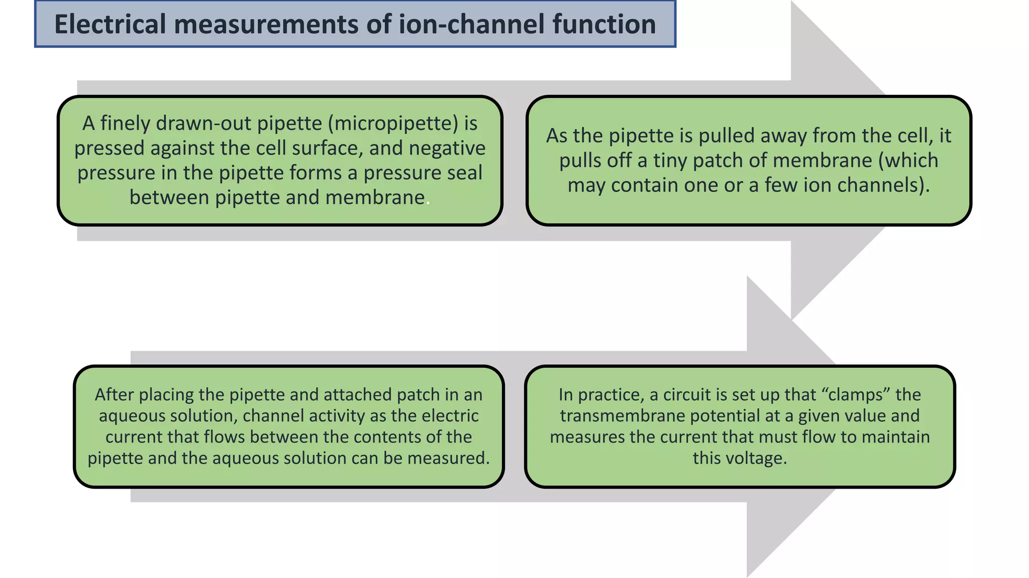 Patch clamp technique | PPTX