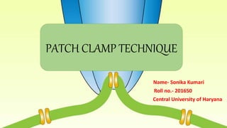 Patch clamp technique | PPTX