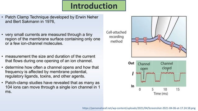 Patch clamp technique | PPT