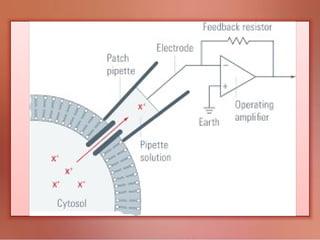 Patch Clamp Technique and its Principle.pptx