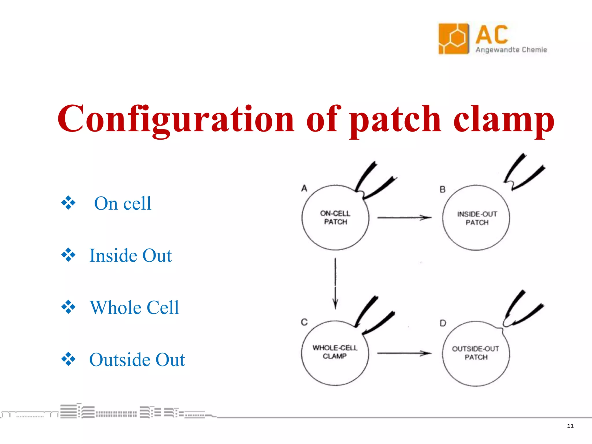 Patch Clamp Technique By Aqif Siddique | PPT