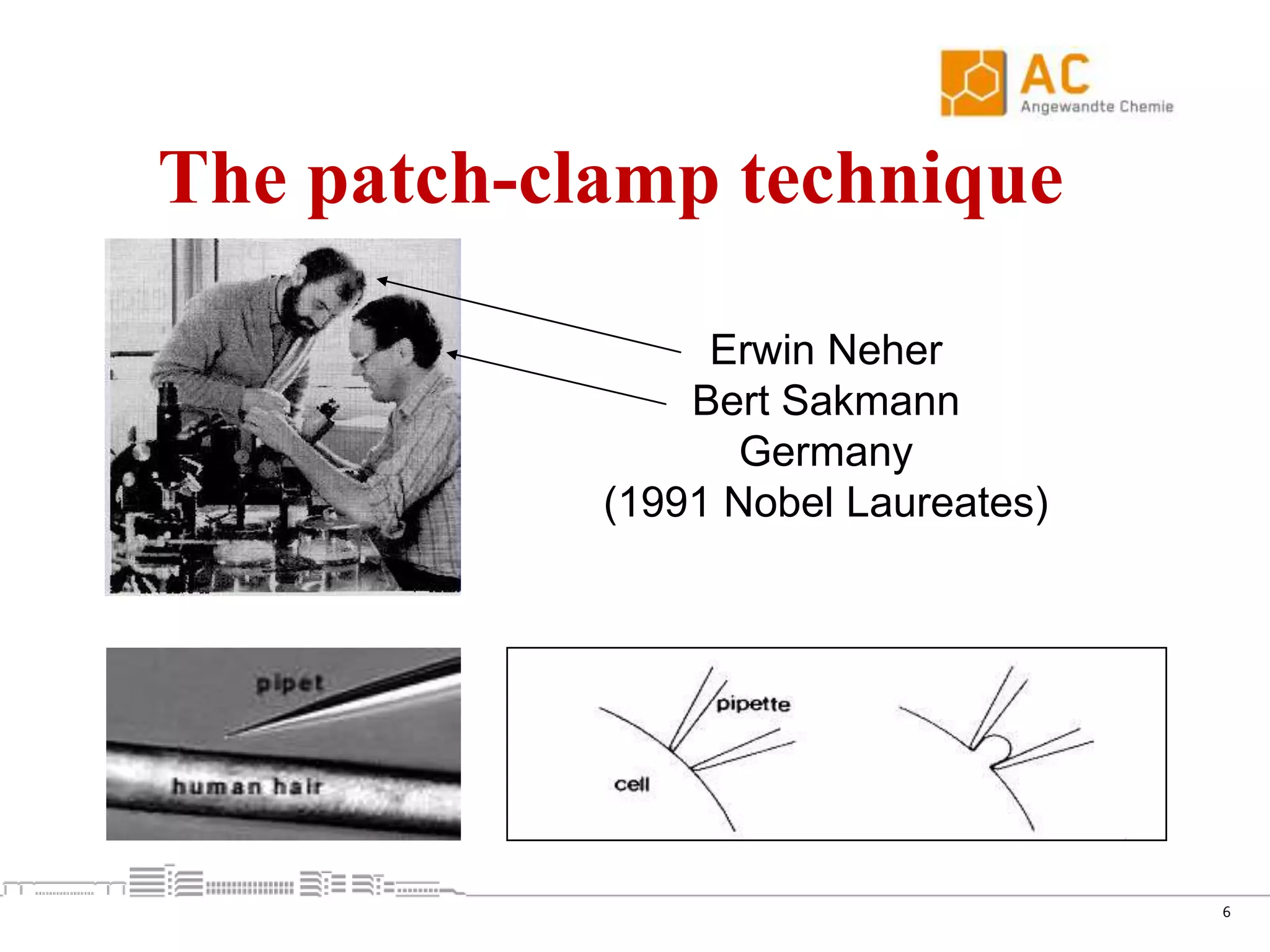 Patch Clamp Technique By Aqif Siddique | PPT