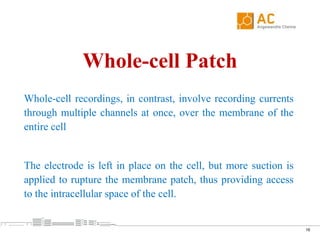 Patch Clamp Technique By Aqif Siddique | PPT