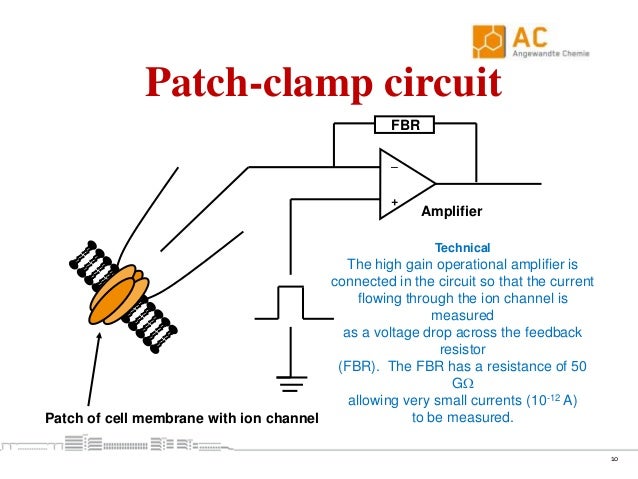 Patch Clamp Technique By Aqif Siddique