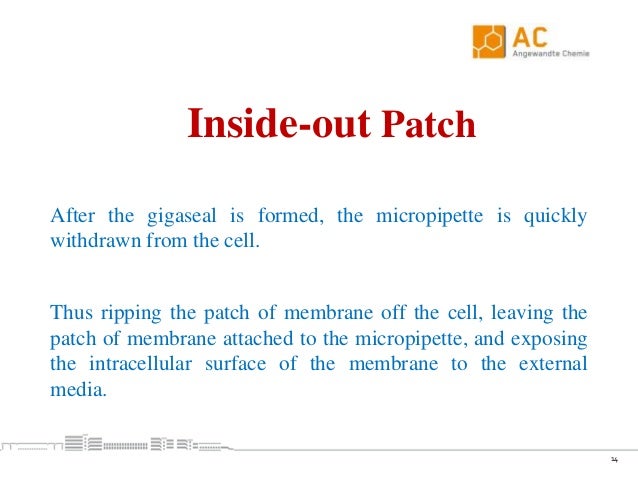 Inside out patch clamp method - rewalost