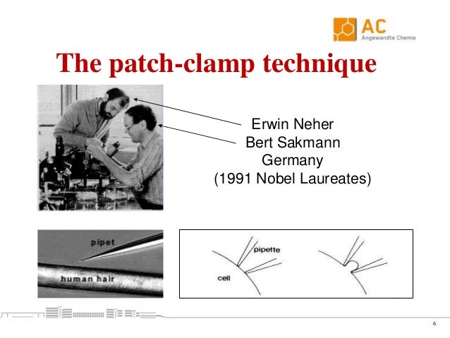 Patch Clamp Technique By Aqif Siddique