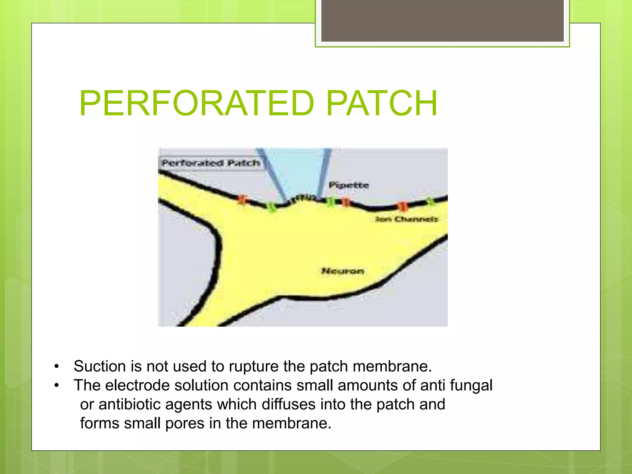 Patch clamp techniques | PPTX