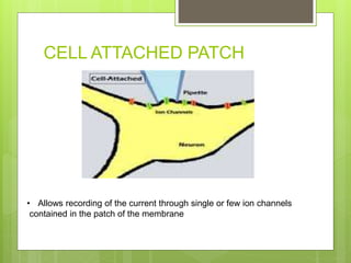 Patch clamp techniques | PPTX