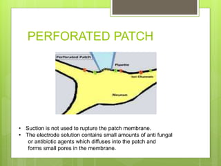Patch clamp techniques | PPTX