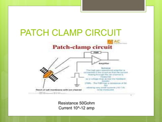 Patch clamp techniques | PPTX