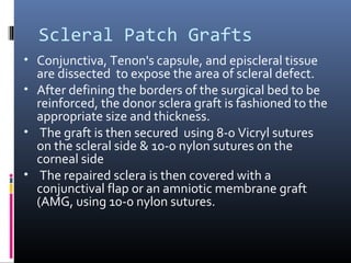 Patch Graft | PPT