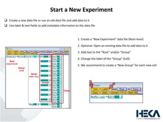 HEKA PATCHMASTER Beginner Training | PPTX