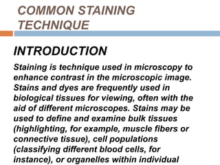 Patel college of pharmacy m sandeep mewada.ppt.pptm