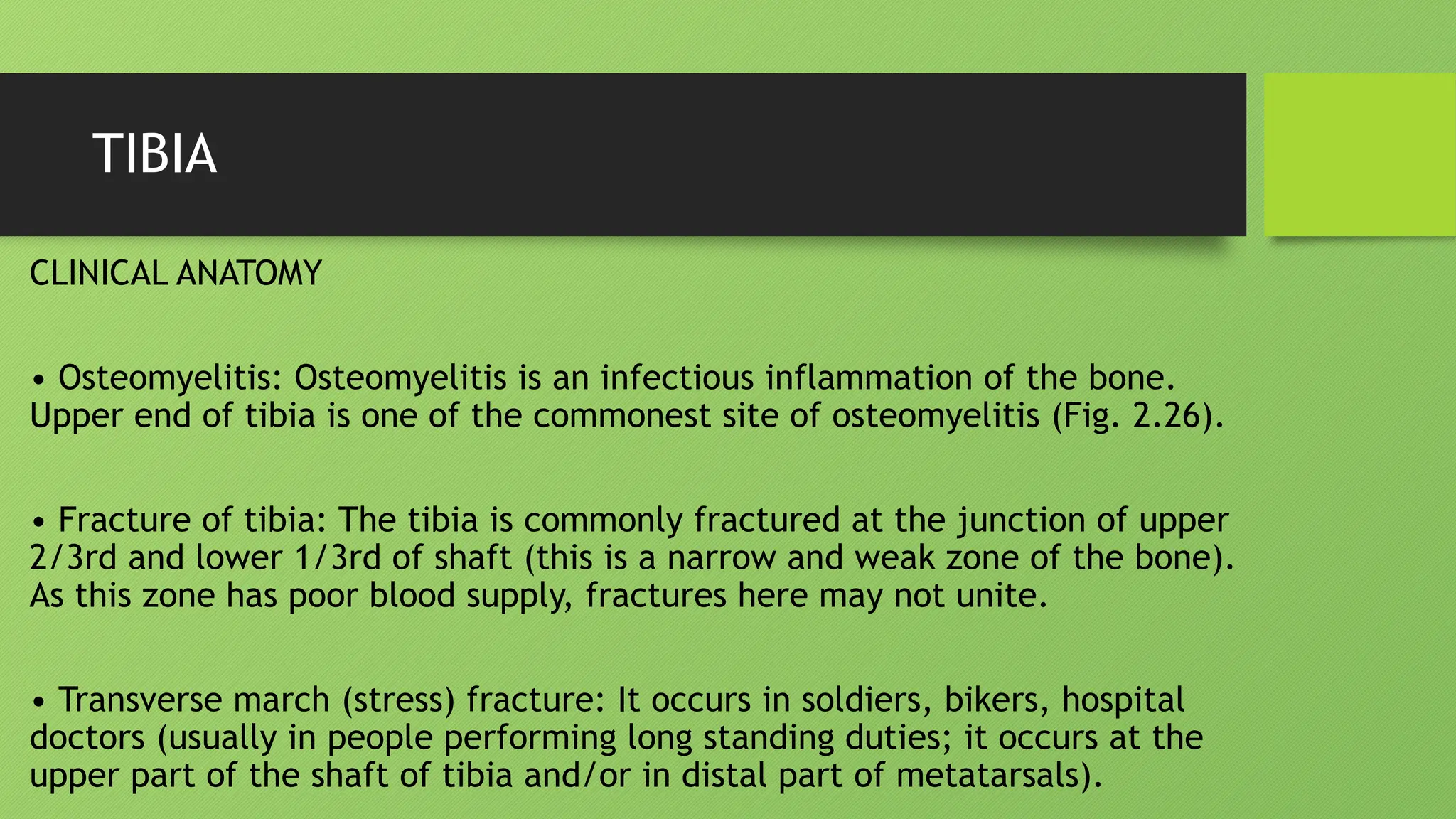 OSTEOLOGY OF PATELLA AND TIBIA ANATOMY.pptx