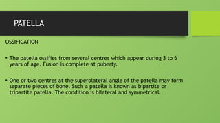 OSTEOLOGY OF PATELLA AND TIBIA ANATOMY.pptx