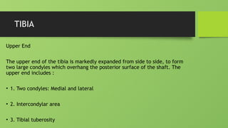 OSTEOLOGY OF PATELLA AND TIBIA ANATOMY.pptx