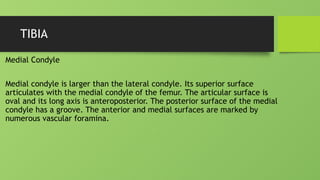 OSTEOLOGY OF PATELLA AND TIBIA ANATOMY.pptx