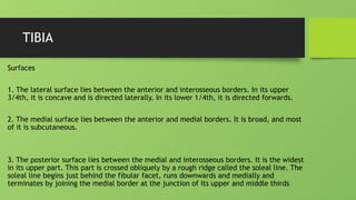 OSTEOLOGY OF PATELLA AND TIBIA ANATOMY.pptx