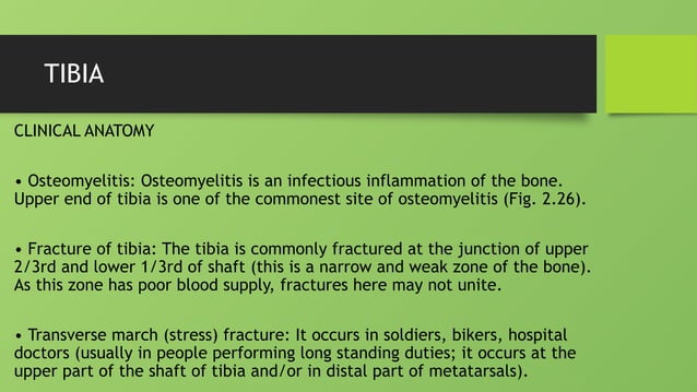 OSTEOLOGY OF PATELLA AND TIBIA ANATOMY.pptx