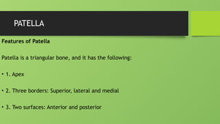 OSTEOLOGY OF PATELLA AND TIBIA ANATOMY.pptx