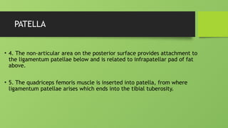 OSTEOLOGY OF PATELLA AND TIBIA ANATOMY.pptx